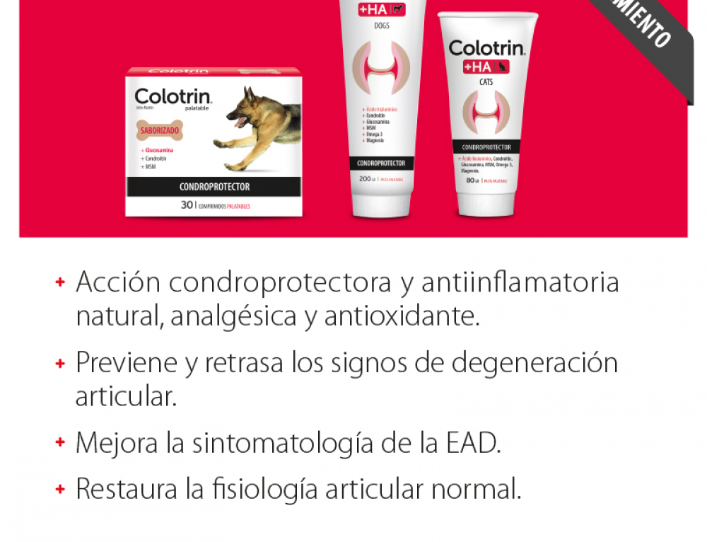 LANZAMIENTO DE PRODUCTO ULYTE - Corivet